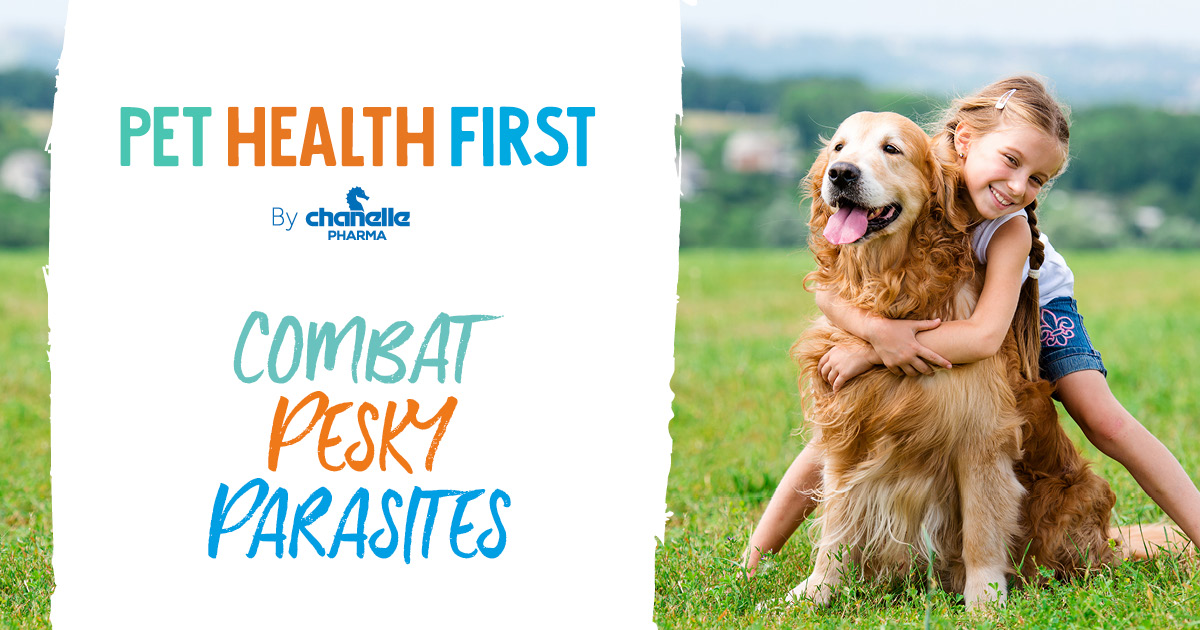 Treat Your Pet for Pesky Parasites | Tips & Advice | Pet Health First