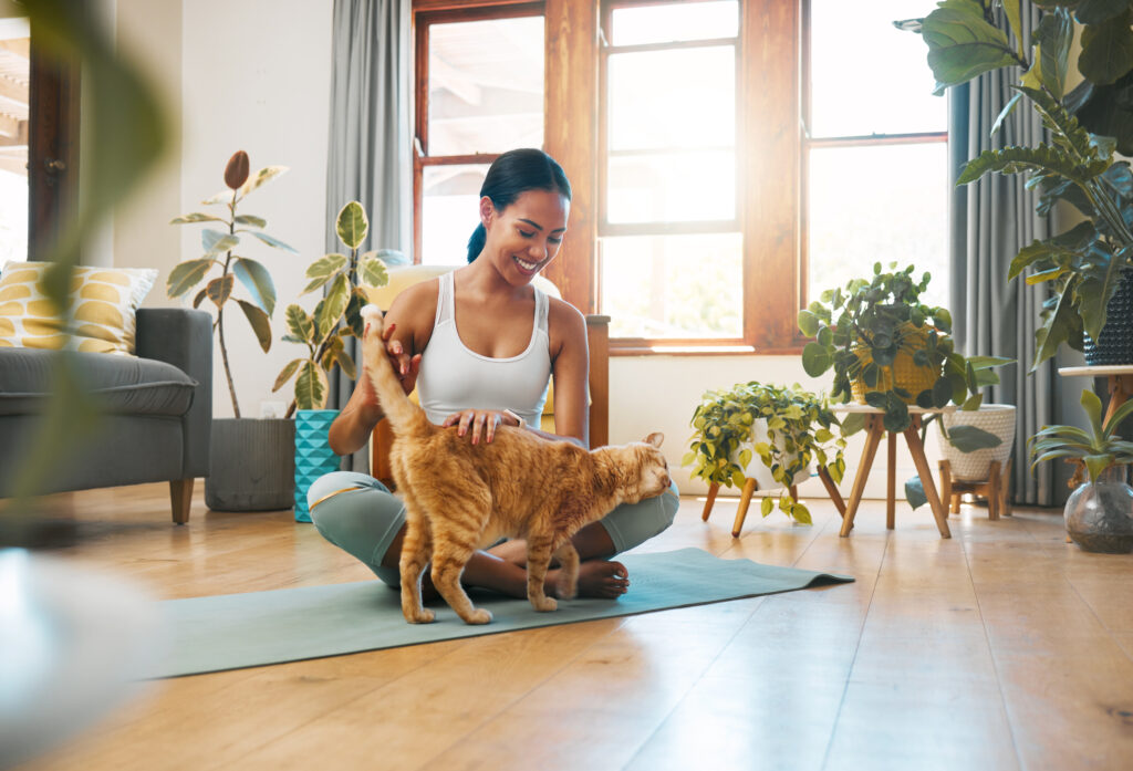 Celebrating Pets on International Pet Day