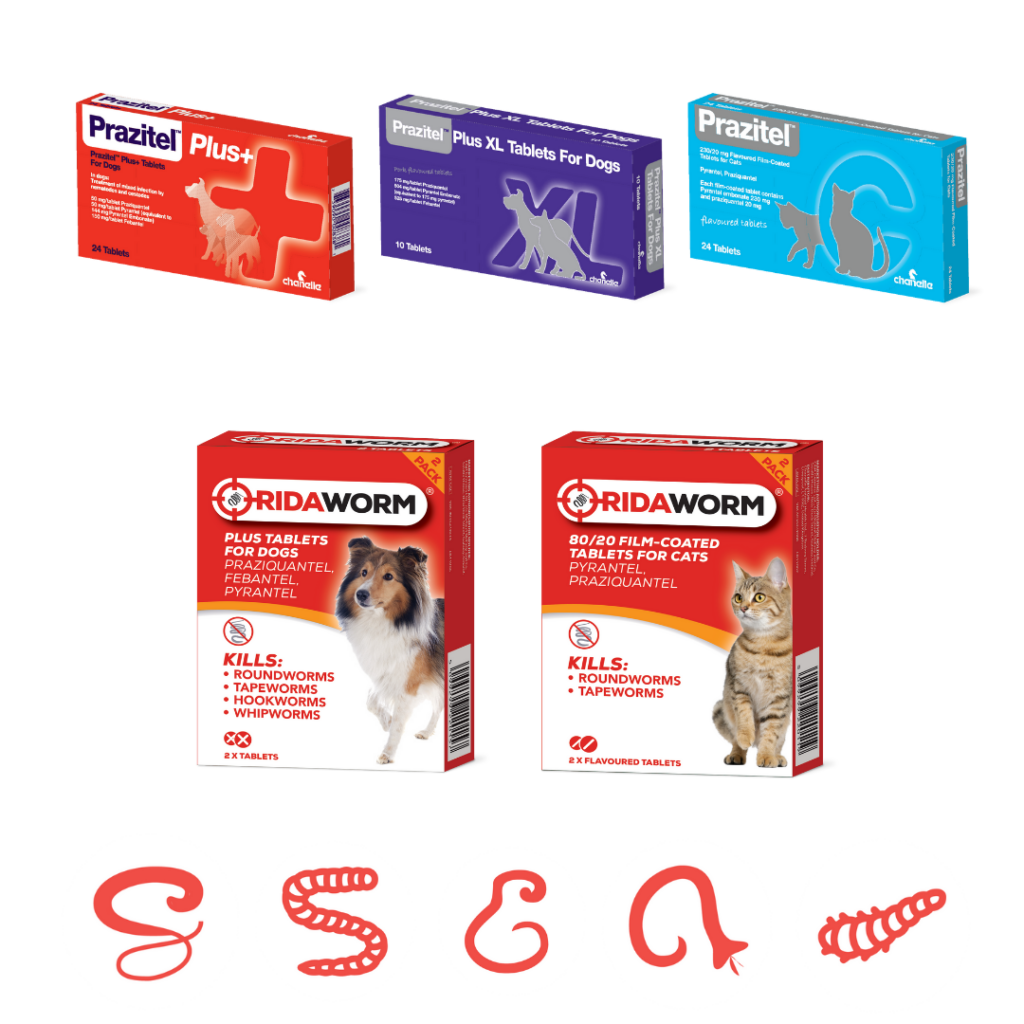 How do flea and worming products differ?